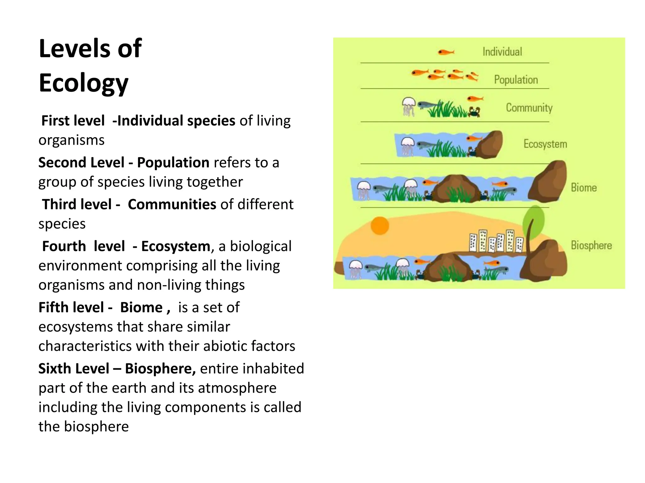 Concept of Ecology , ecosystem and enviroment management | PDF