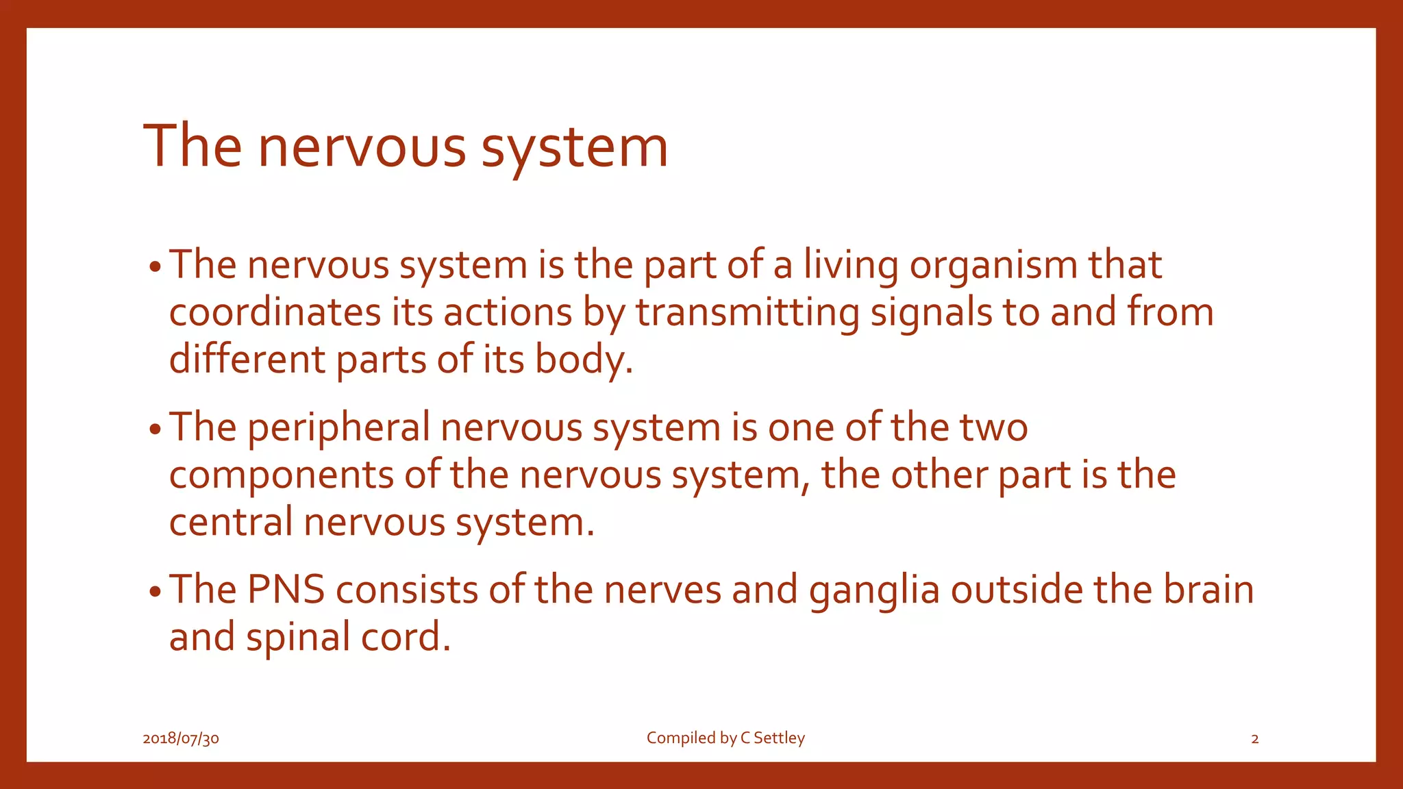 3 conditions of the peripheral nerves | PPT