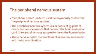 3 conditions of the peripheral nerves | PDF