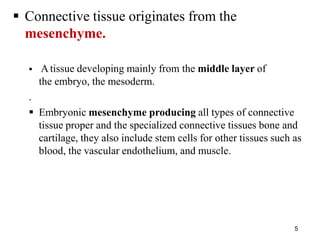 connective tissue.pptx