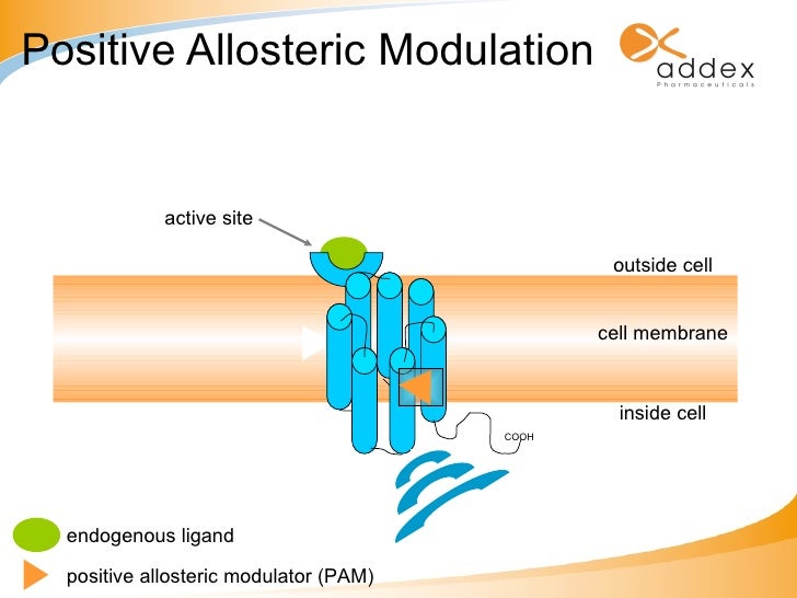 Core Biology Activities - Addex 2009 R&D Day
