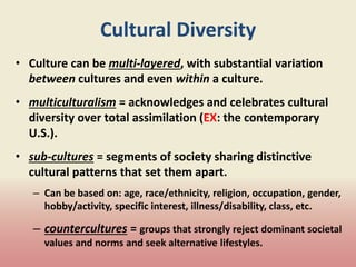 Week 2: Culture | PPTX