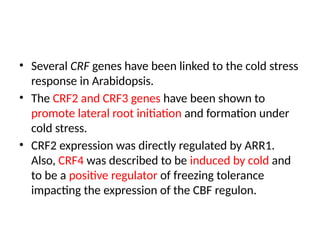 3 Plant growth regulators, Cytokinins hormoneCytokinins.pptx