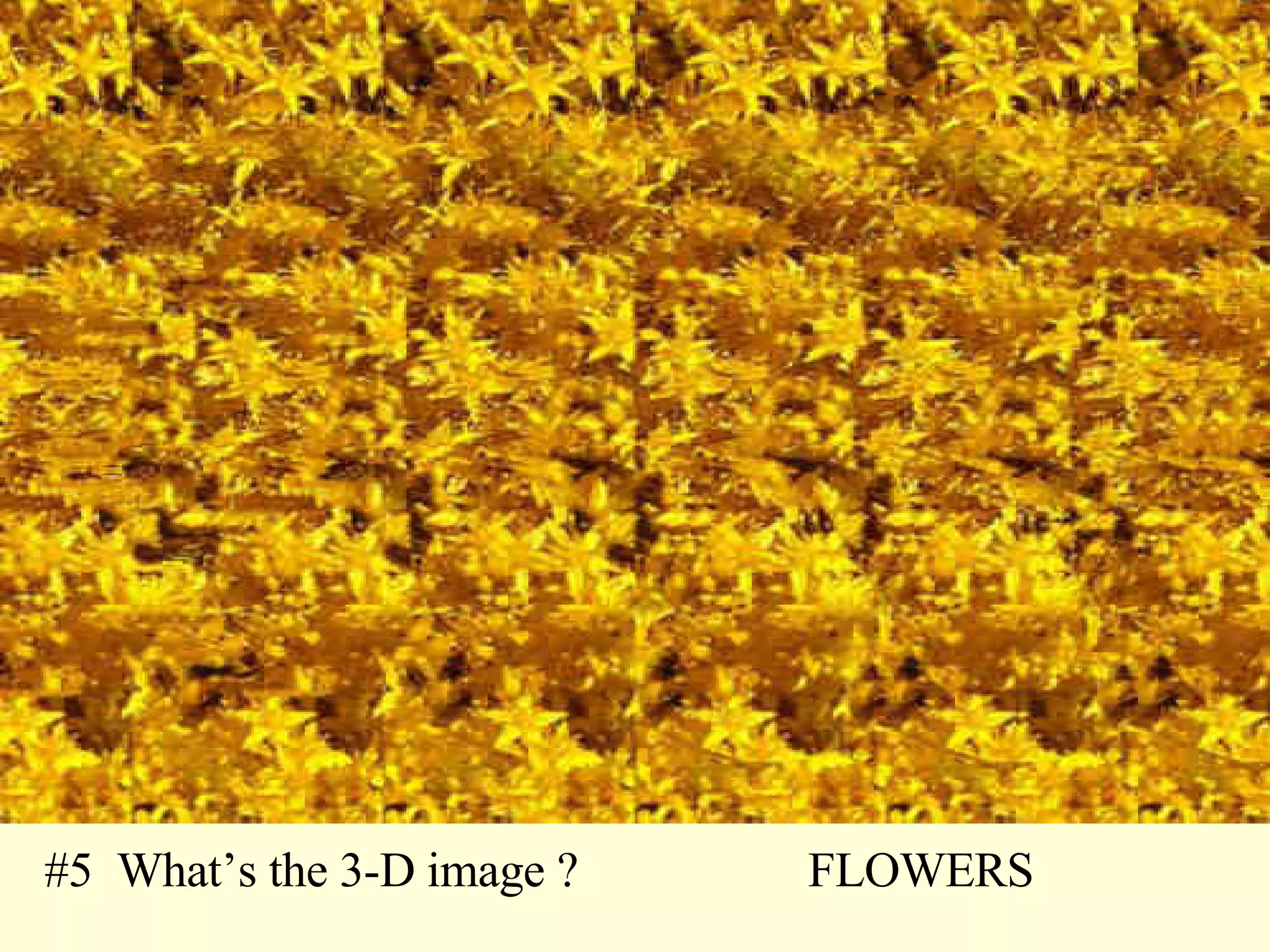 Fun With 3-D Stereograms | PPT