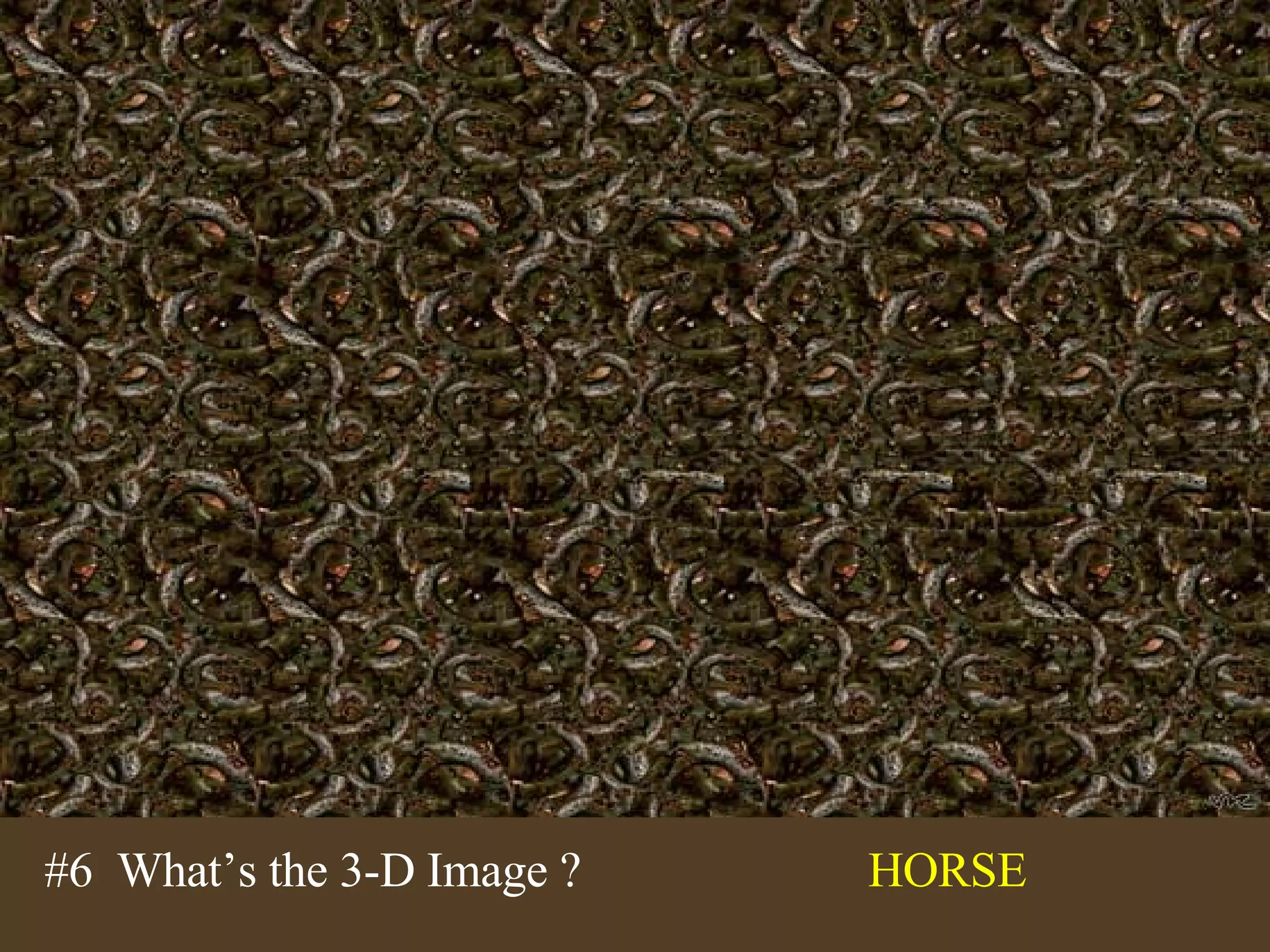 Fun With 3-D Stereograms | PPT