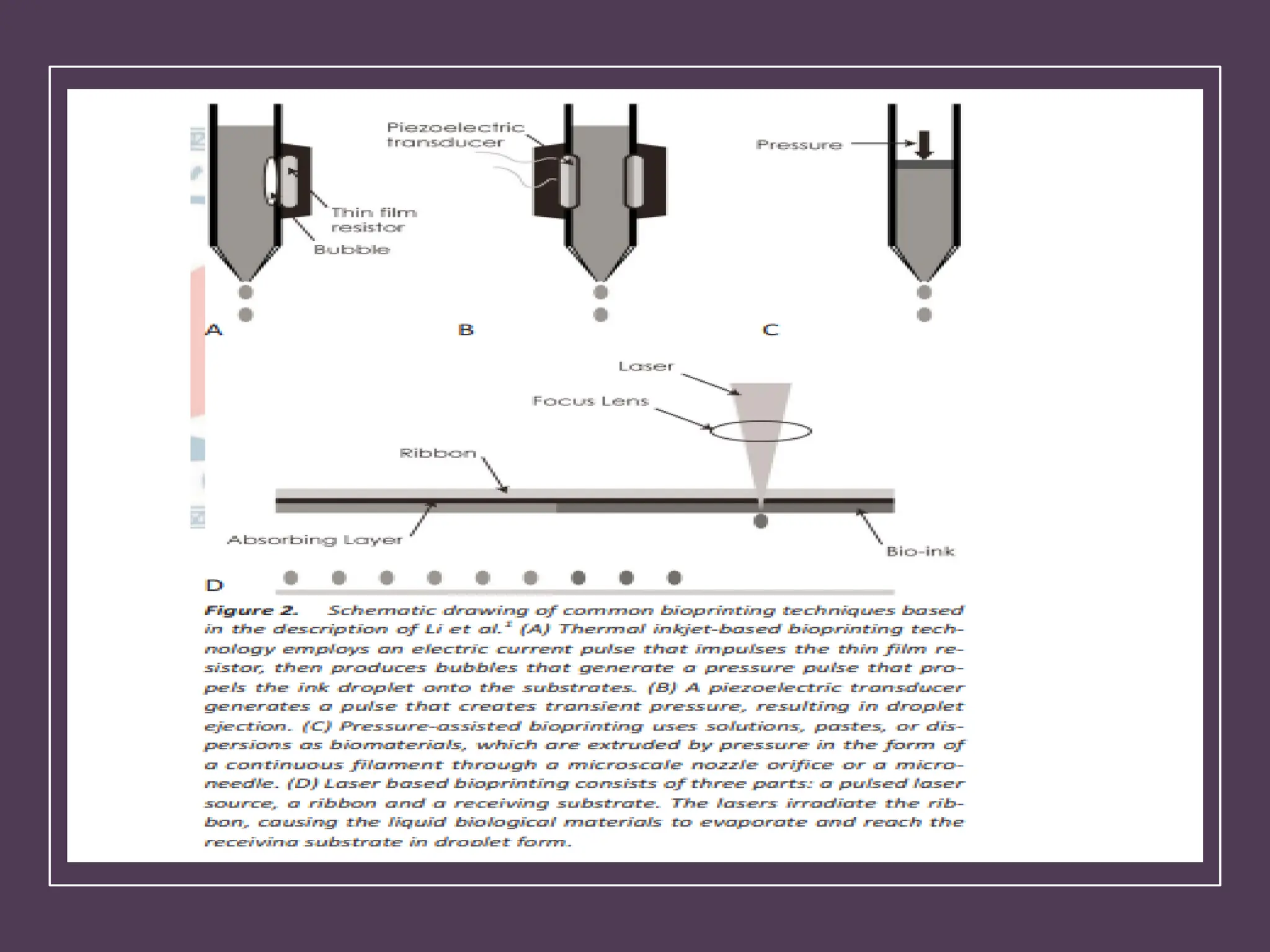 3d-bioprinting_2.pdf