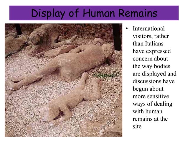 3d. ethical issues the study of human remains | PPT