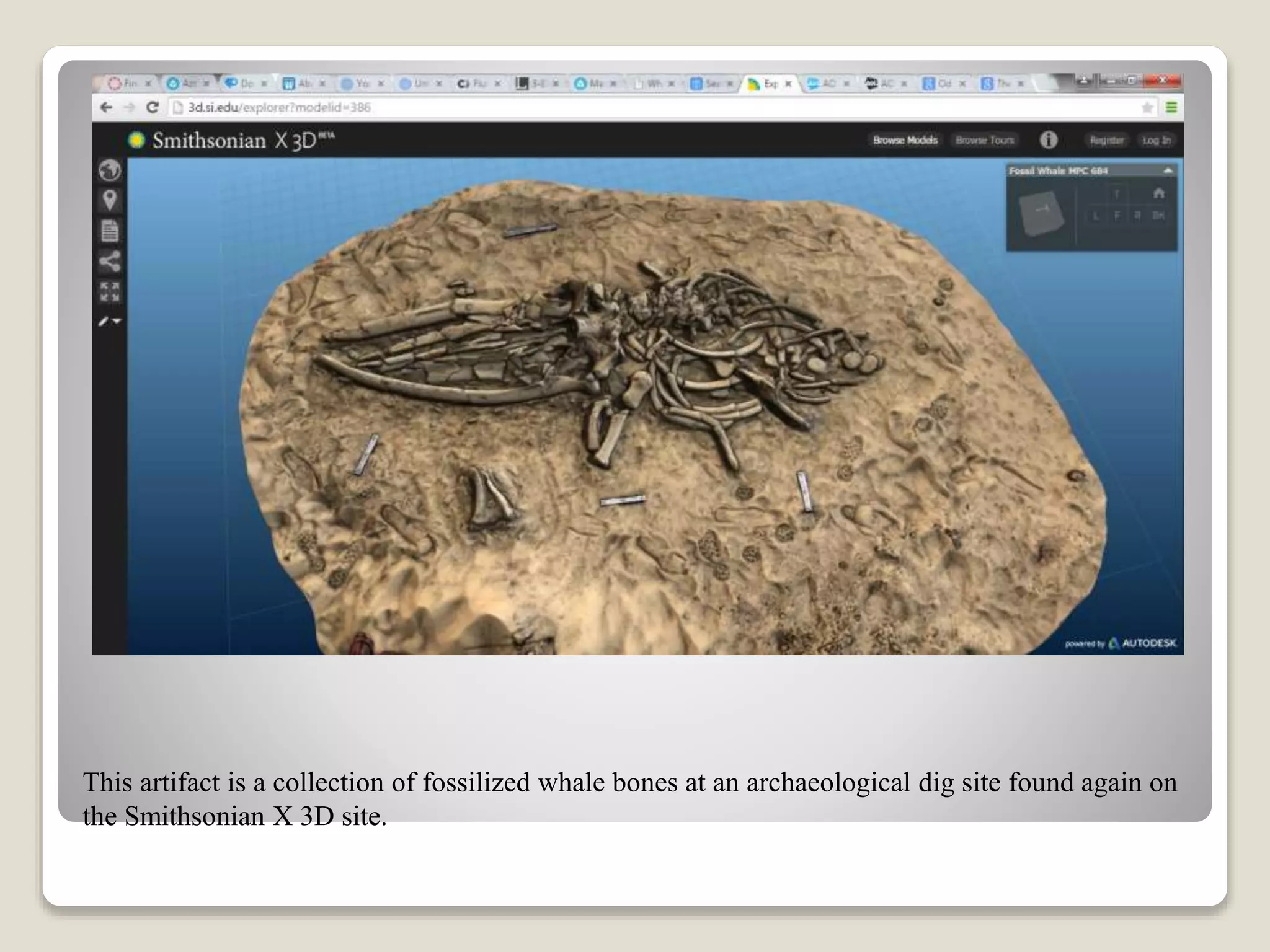 3 d final-project | PPT