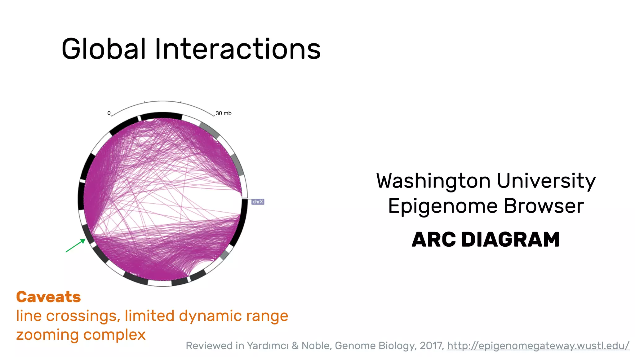 Visualization of 3D Genome Data | PDF