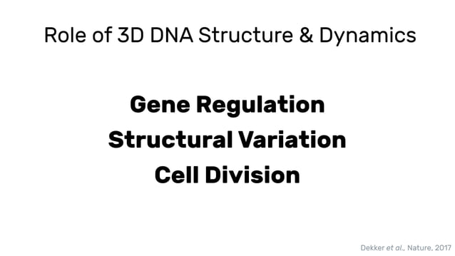 Visualization of 3D Genome Data | PDF