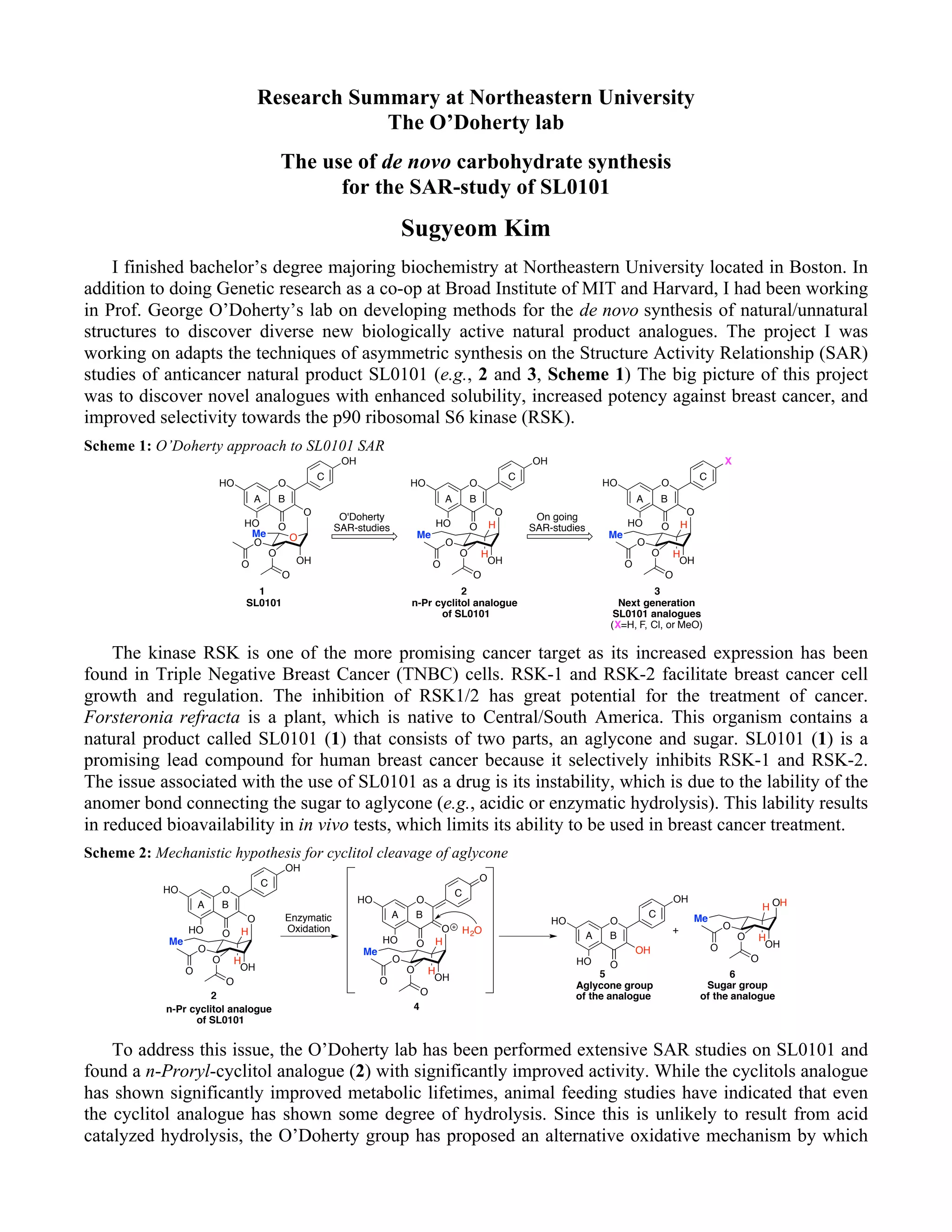 RESEARCH SUMMARY | PDF