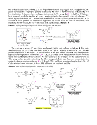 RESEARCH SUMMARY | PDF