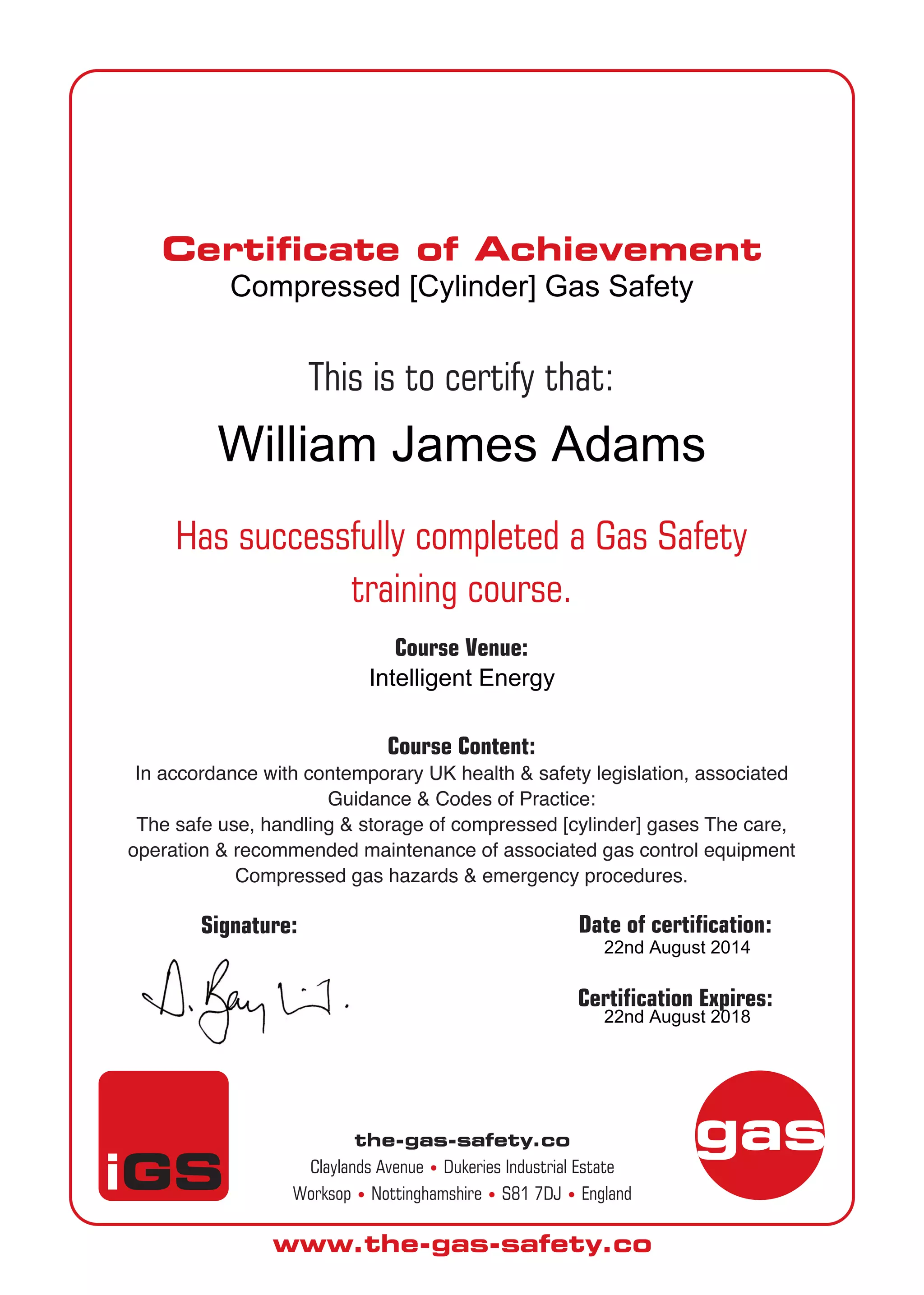 1084-63Cylinder Gas Safety Certificate - William James Adams | PDF