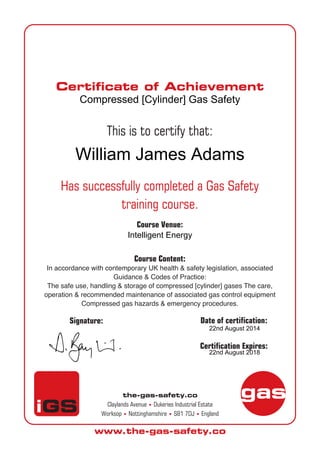1084-63Cylinder Gas Safety Certificate - William James Adams | PDF