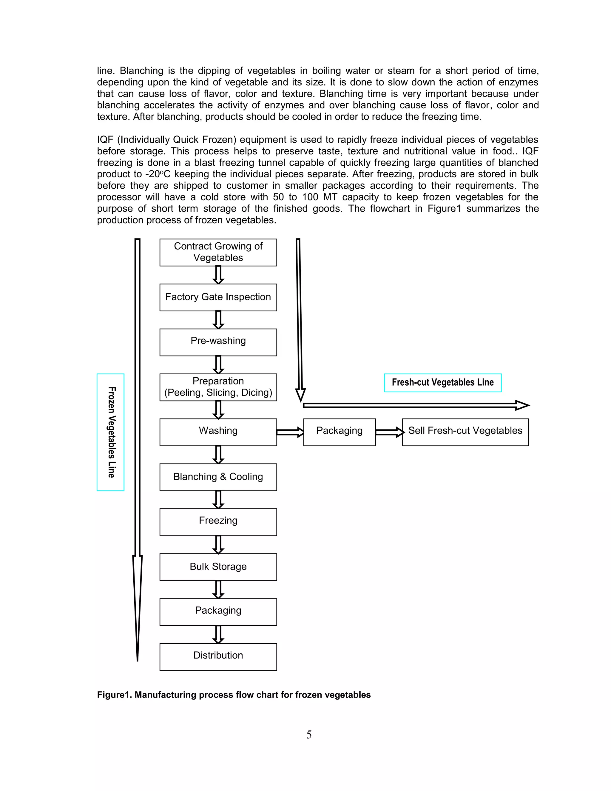 Techno-Economic Feasibility Study Report on IQF Plant for Manufacturing ...