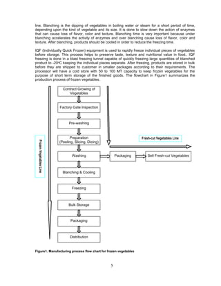 Techno-Economic Feasibility Study Report on IQF Plant for Manufacturing ...