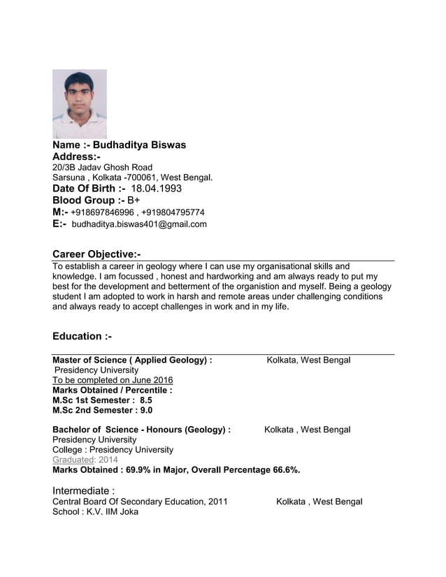 Budhaditya.Biswas CV | PDF