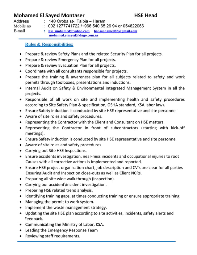 mohamed elsayed CV | PDF