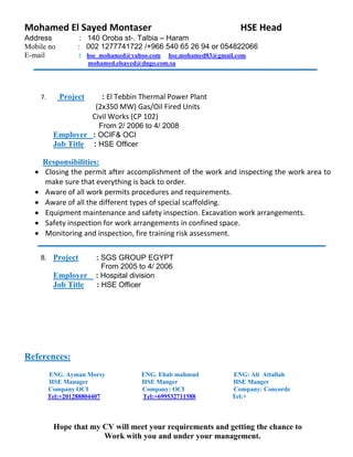 mohamed elsayed CV | PDF
