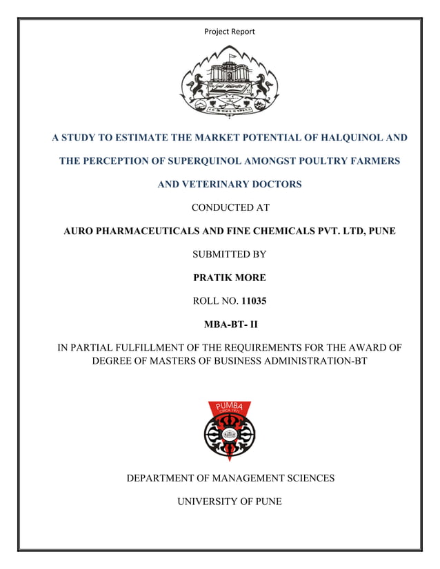 Pratik_More_Summer_Project | PDF