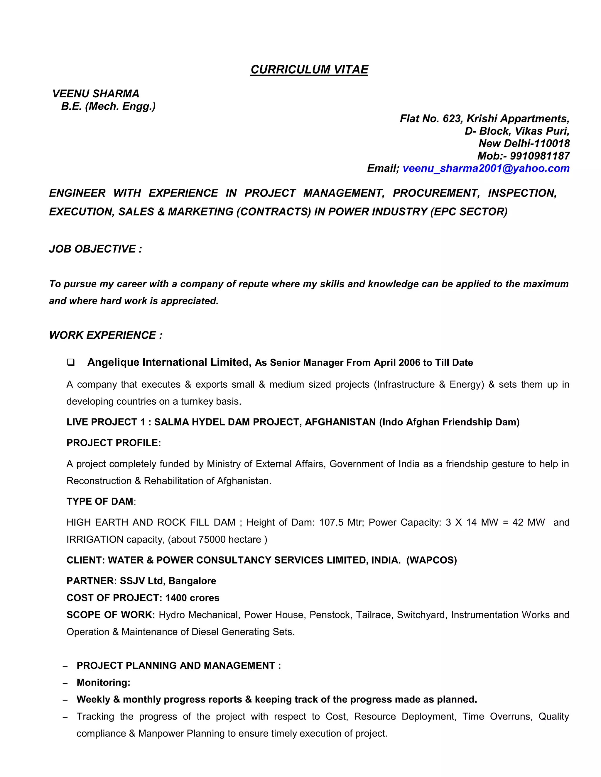 CURRICULUM VITAE | PDF