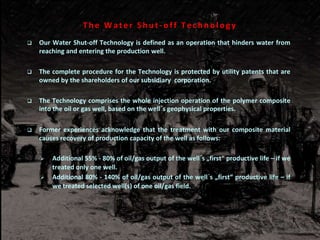 DEPLETED OIL FIELDS - Regeneration with Water_Shutoff - EUCO Group | PPSX