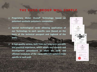 DEPLETED OIL FIELDS - Regeneration with Water_Shutoff - EUCO Group | PPSX