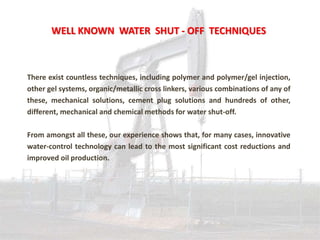 DEPLETED OIL FIELDS - Regeneration with Water_Shutoff - EUCO Group | PPSX