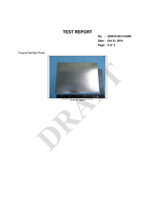 Iron-SGS Report-.PDF