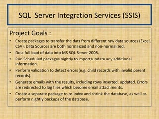 BI PPT Portfolio_Wang | PPT