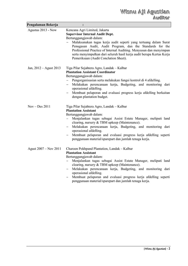 CV Wisnu Internal Auditor (Bahasa) | PDF