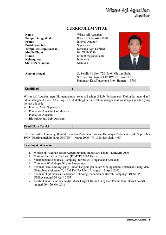 Internal Auditor CV | PDF