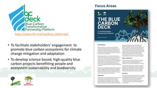 Introducing Blue Carbon Deck seeking for actionable partnerships | PDF