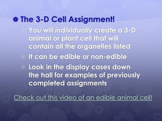 3D Cell Project: Instructions | PPTX