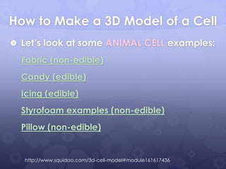 3D Cell Project: Instructions | PPTX