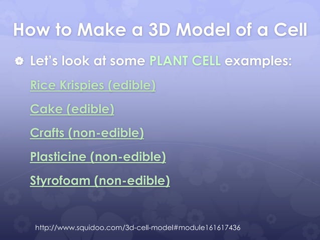 3D Cell Project: Instructions | PPTX