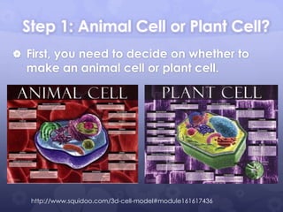 3D Cell Project: Instructions | PPTX