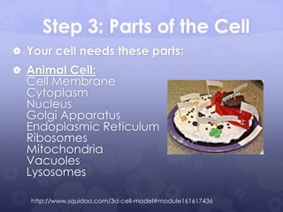 3D Cell Project: Instructions | PPTX