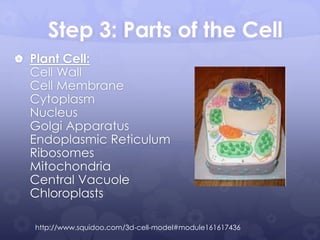 3D Cell Project: Instructions | PPTX