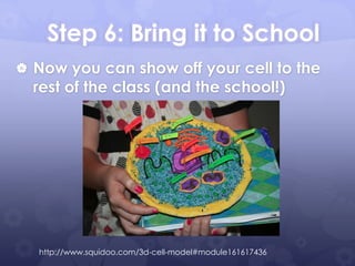 3d Animal Cell Model Project For School
