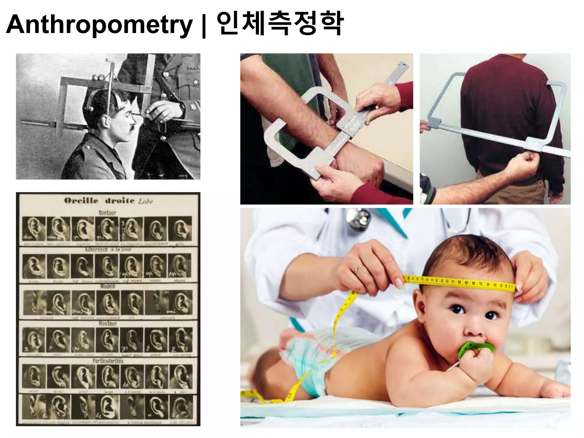 3D Anthropometry (Kor) | PPT