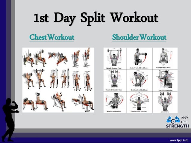 3 Day Split Workout