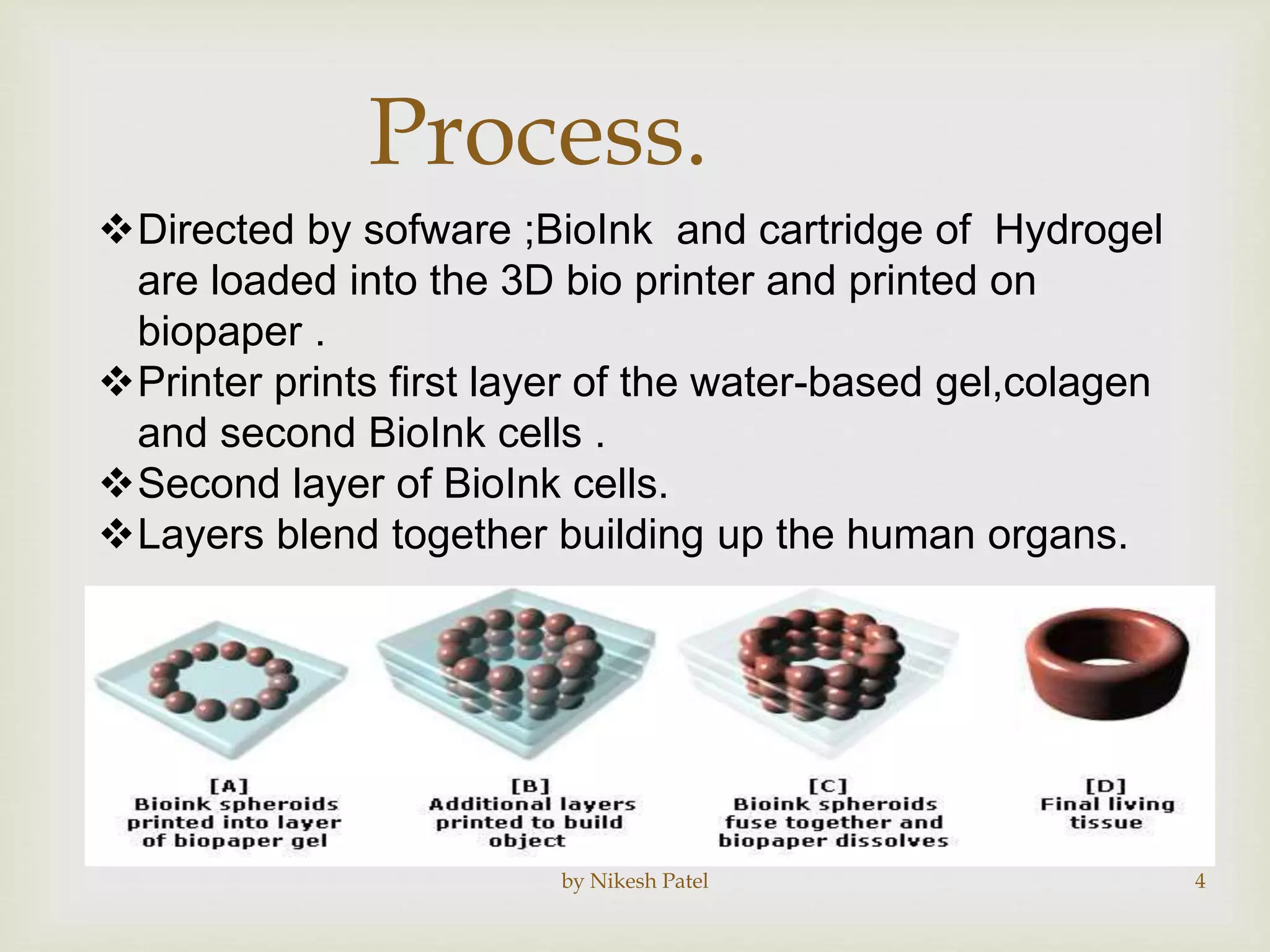 3 d bioprinting | PPT