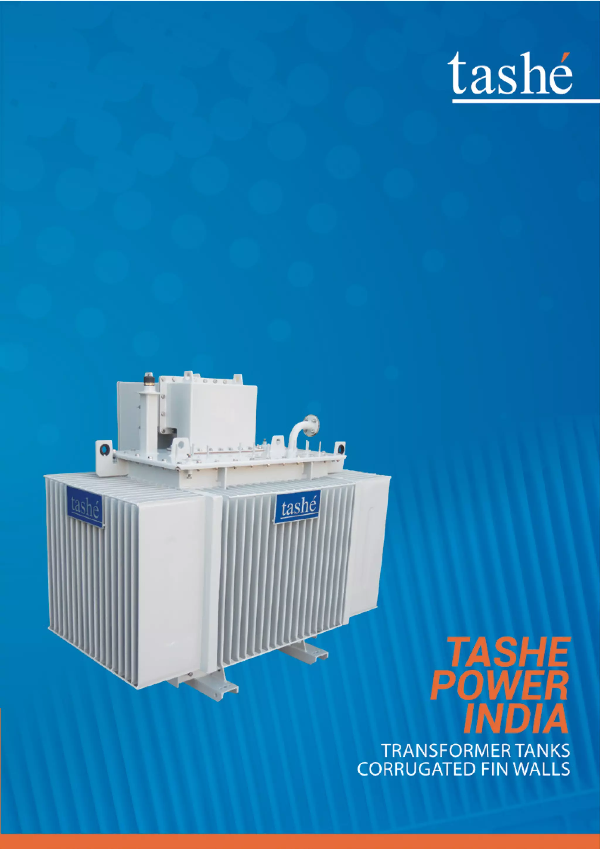 Tashe Final Brochure | PDF