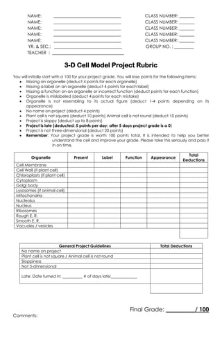 7th Grade 3D Cell Project Rubric | PDF