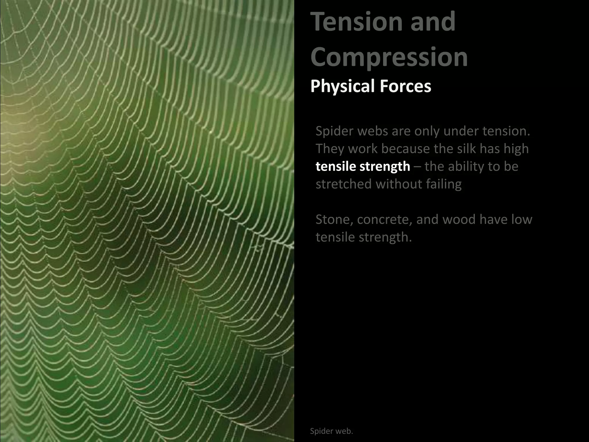 3 d chapter 6 structure | PPT