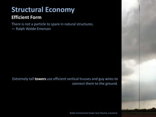 3 d chapter 6 structure | PPT