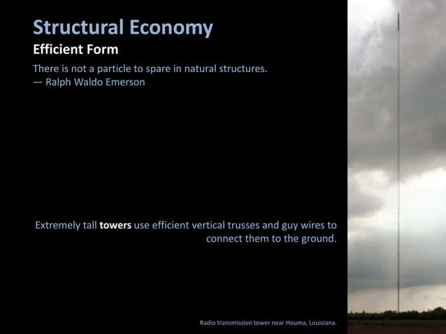 3 d chapter 6 structure | PPT