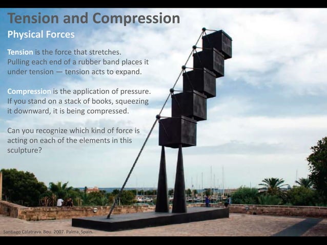 3 d chapter 6 structure | PPT