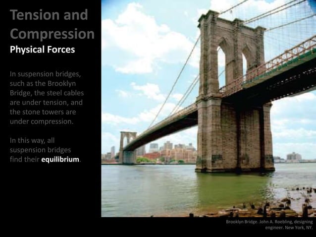 3 d chapter 6 structure | PPT